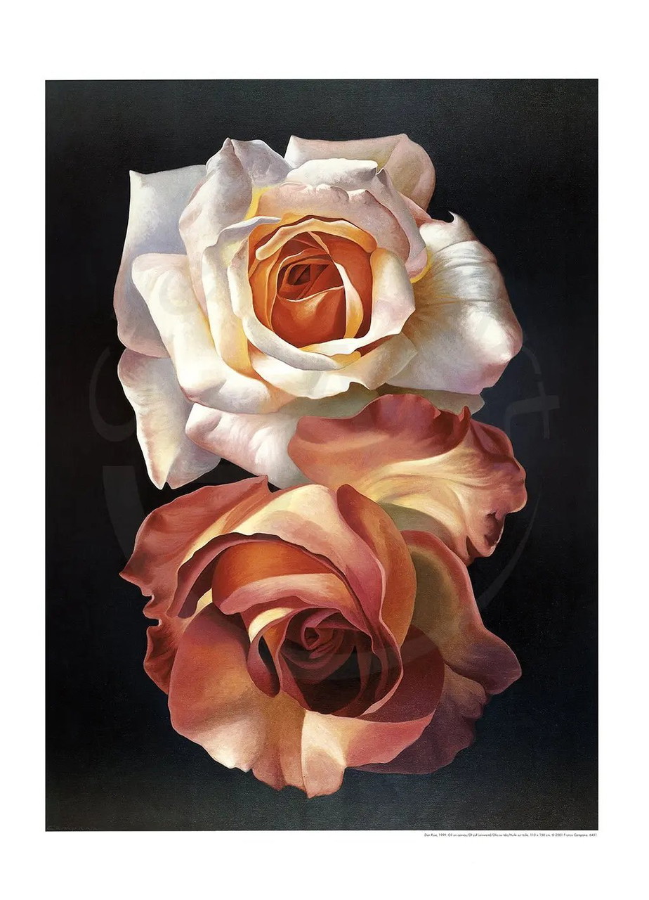 La Magie de la Rose - Campana, Franco - Due Rose - Tirage d'art | €29 ...