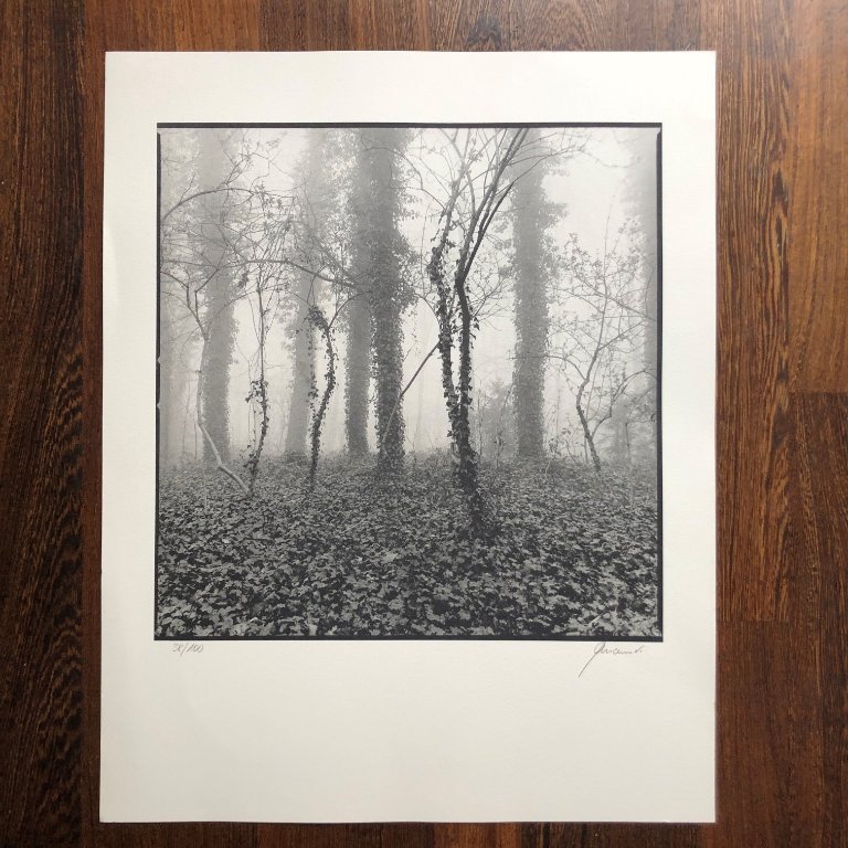 Gesigneerde fotoprint Ralph Janowski 38/100 | €40 | Whoppah