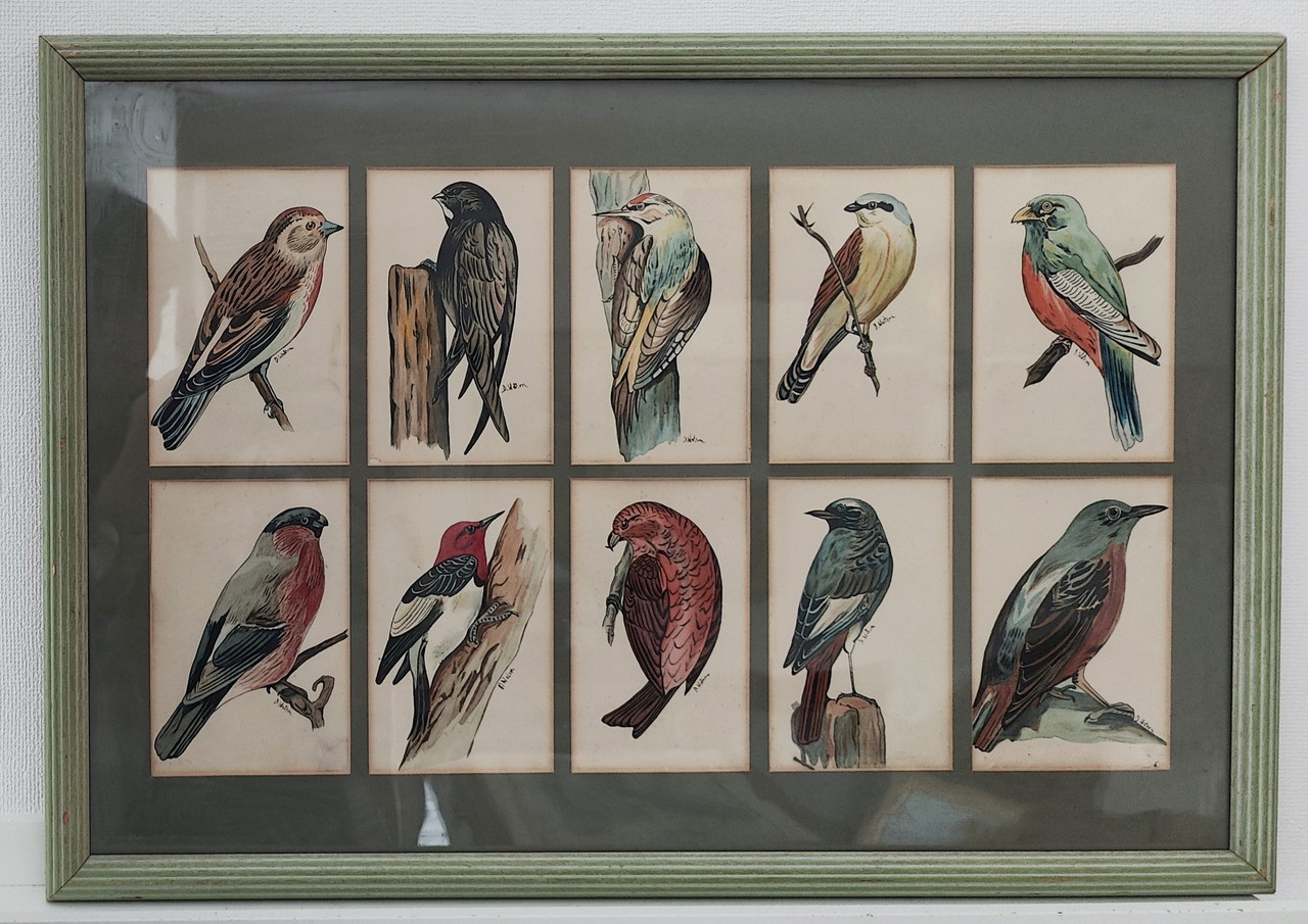 Vogel-Aquarell Donald Watson(1910-2005) | €290 | Whoppah