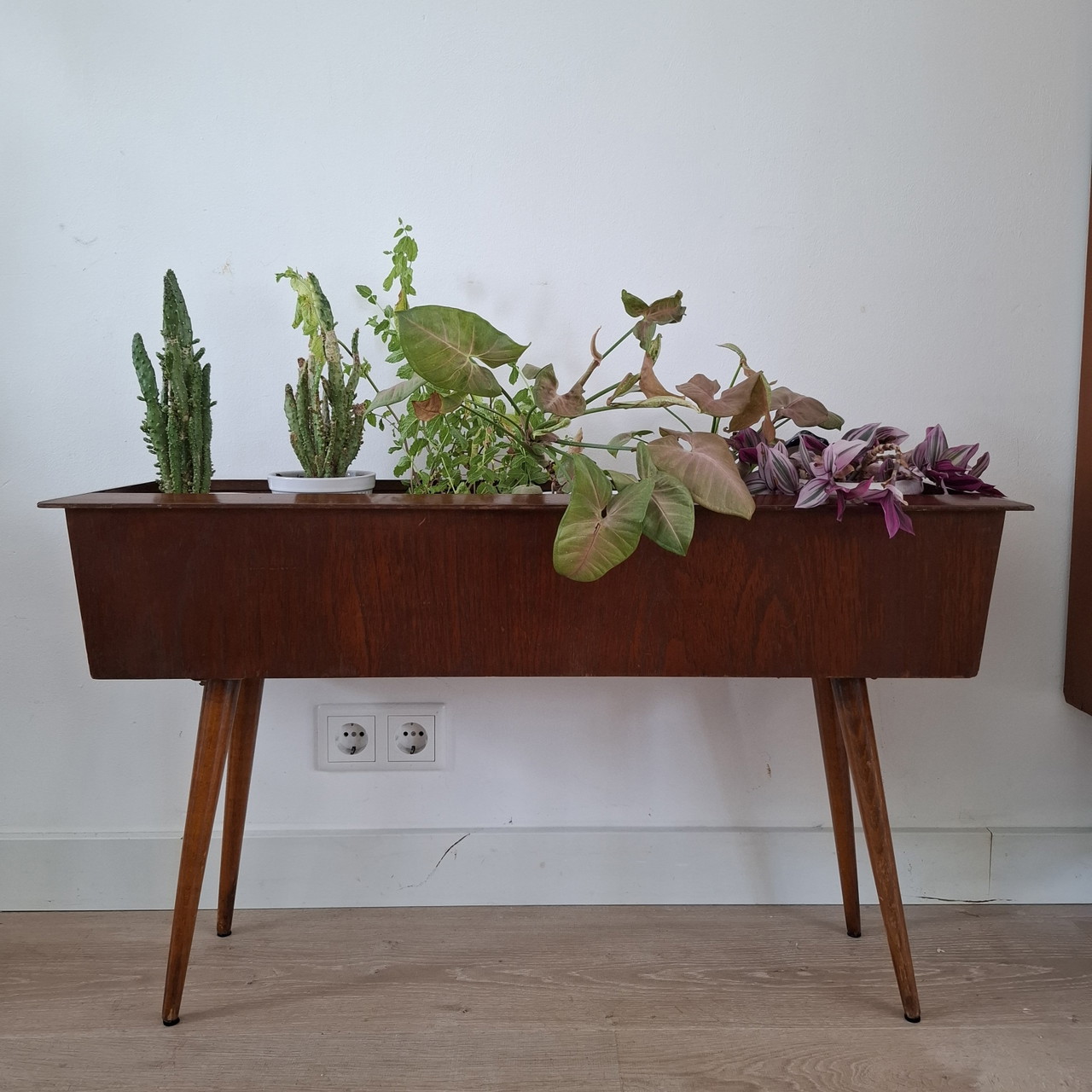 Planter Teak Veneer Sloped Legs | €200 | Whoppah