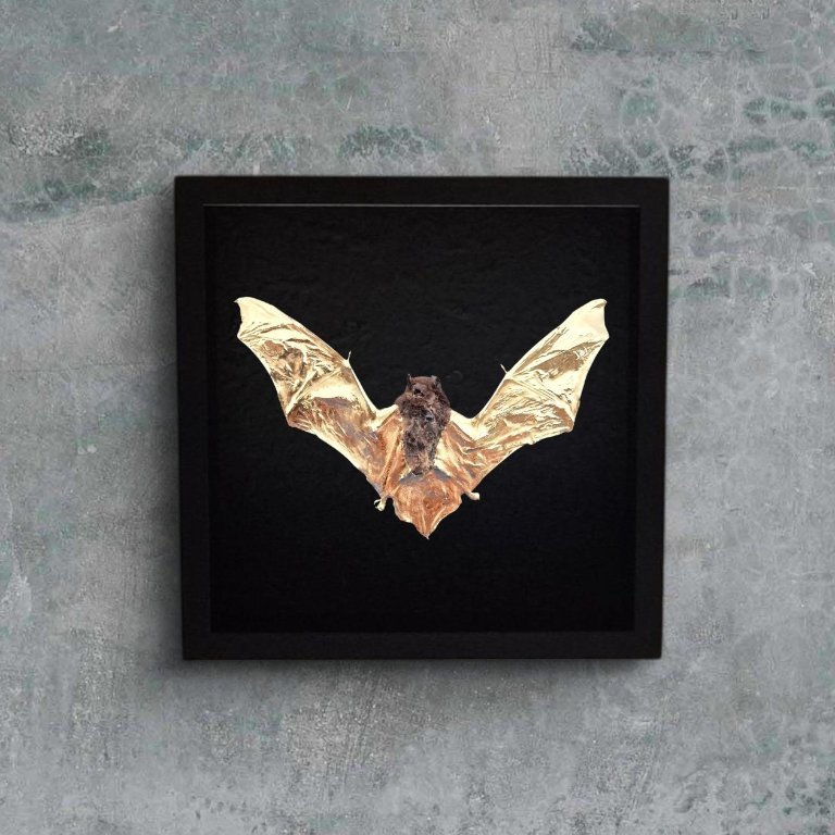 Genuine bat 23kt gold plated taxidermy artwork in frame | €159 | Whoppah