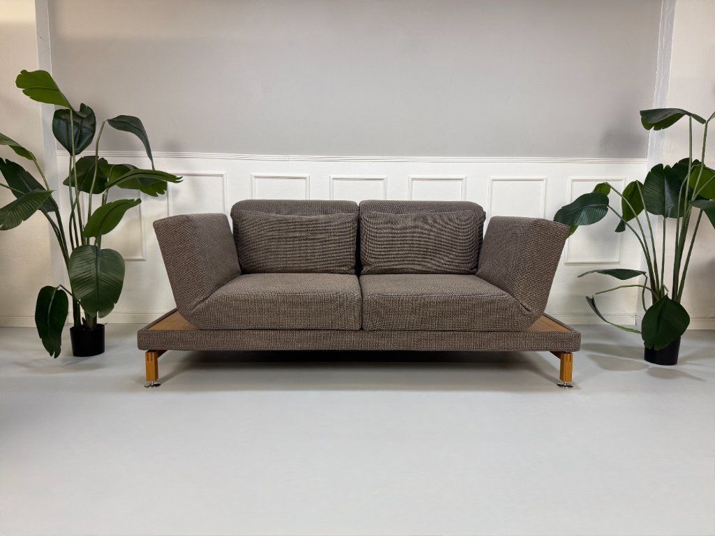 Brühl Moule Sofa Brown Large Sleeper Sofa Display Model | €4,600 | Whoppah