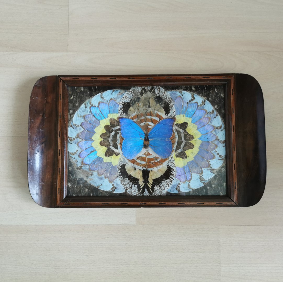 Antique Butterfly Wing Tray - Art Deco | €250 | Whoppah