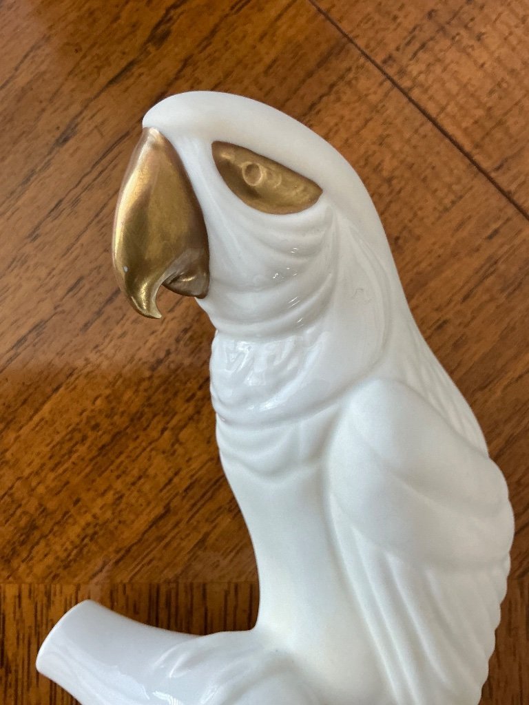 Raro loro blanco | €225 | Whoppah