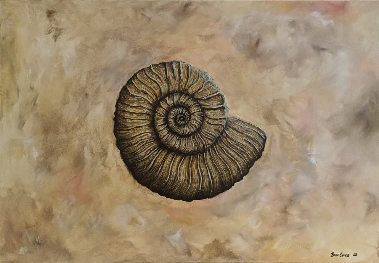 Ammonite/Fossil/Fosile Acryl/Acrylic Painting/Paint | €500 | Whoppah