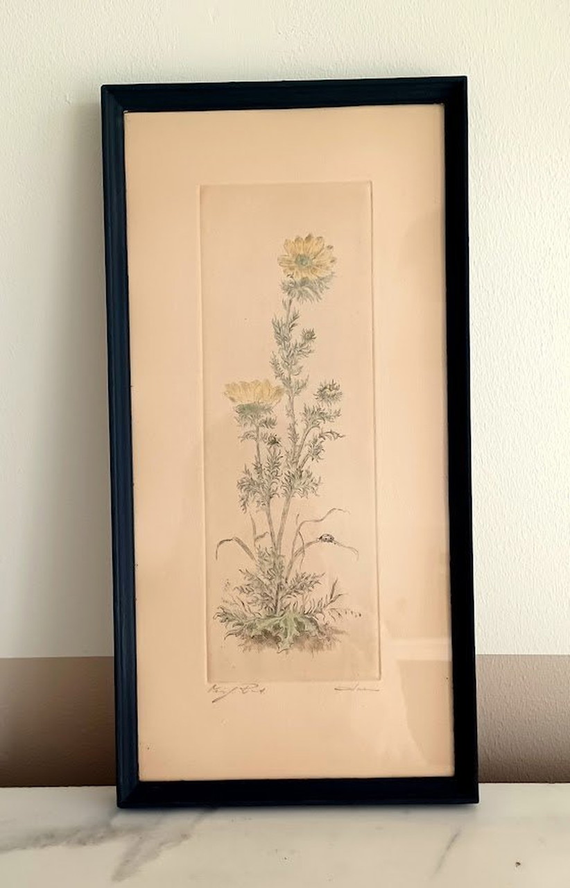 Botanische Pentekening. Gesigneerd. Mid-Century | €28 | Whoppah