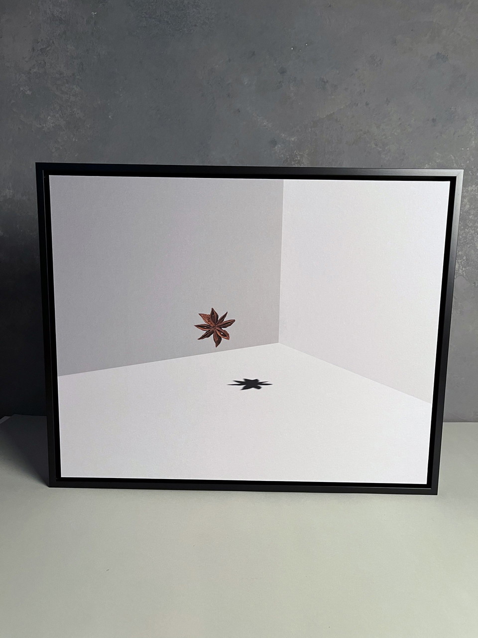 Jeroen Luijt - Star Anise | €700 | Whoppah