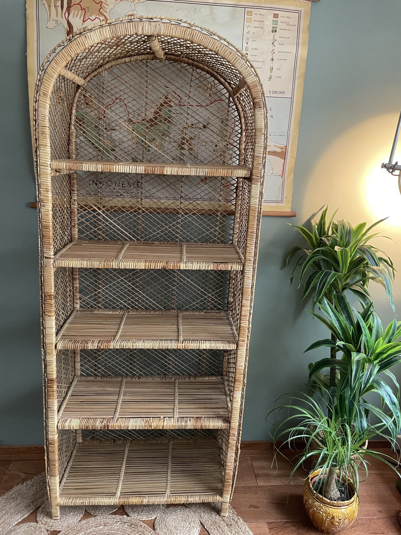 Vintage rattan / rattan bow cabinet | €235 | Whoppah