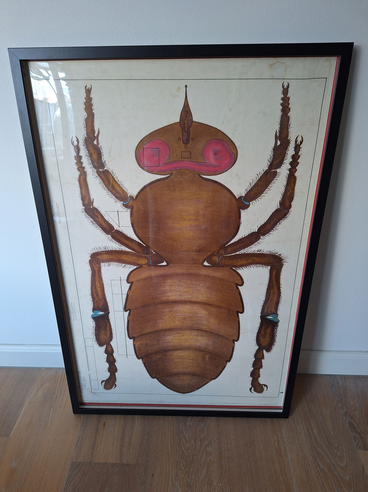 Vintage Soviet School Plate Insect | €150 | Whoppah