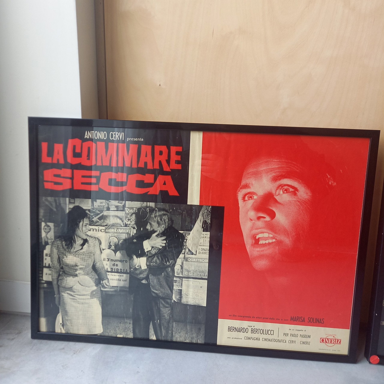 10x Bernardo Bertolucci on the film : La Commare Secca framed movie ...