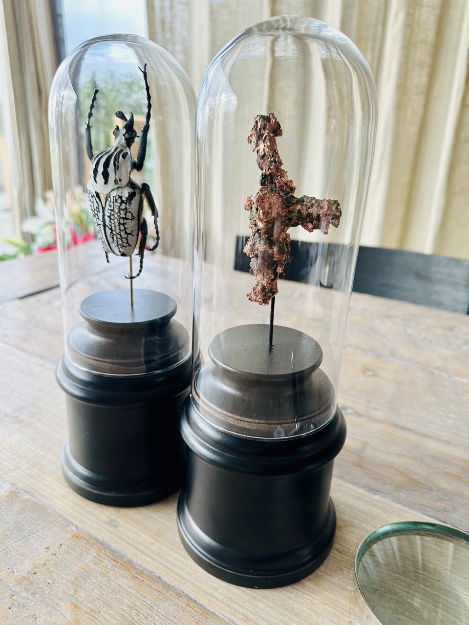 Bells Mini Bellows in Display Cabinet Display Cabinet | €291 | Whoppah