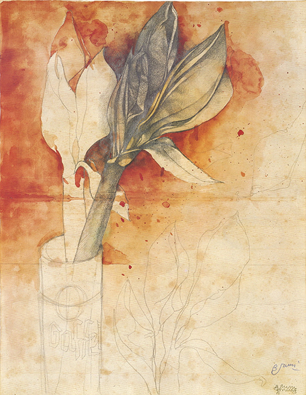 BRUNO BRUNI Color lithograph AMARYLLIS Hand signed. | €55 | Whoppah