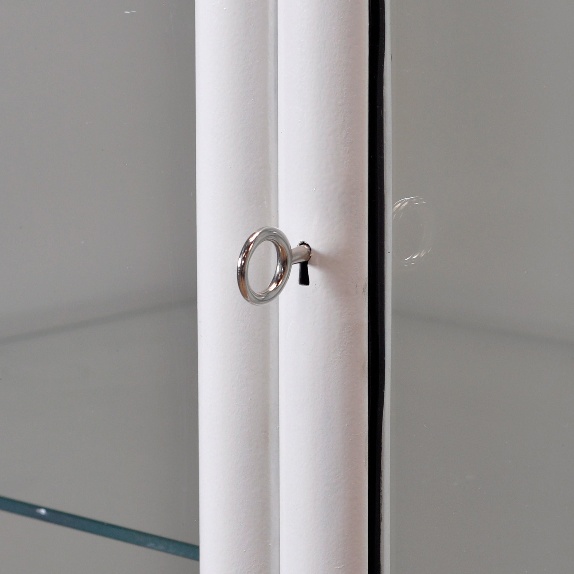 Iron medical display case from Kovona, 1950s | €800 | Whoppah