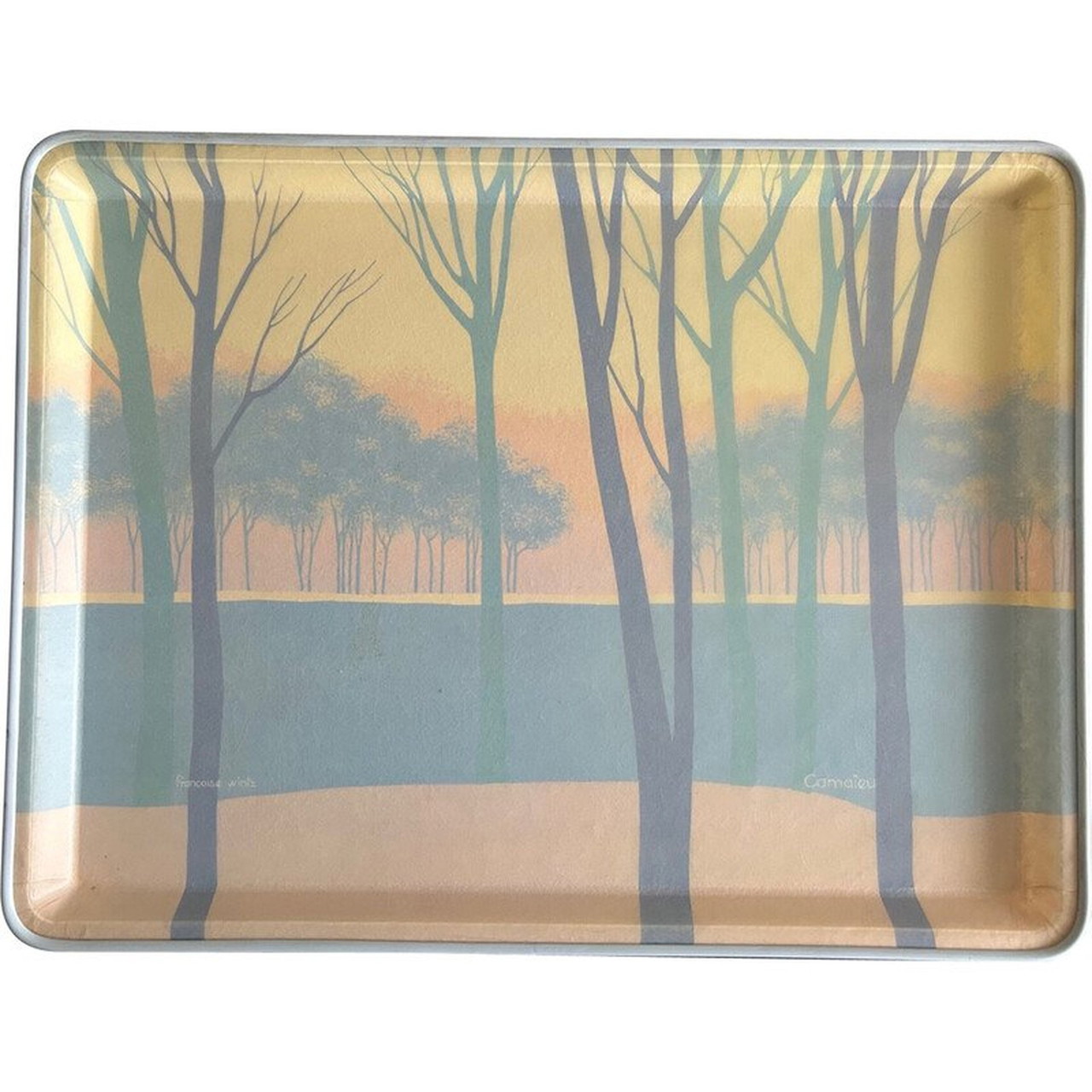 Plateau vintage en fibre de verre par Françoise Wintz pour Alpac, 1980 ...